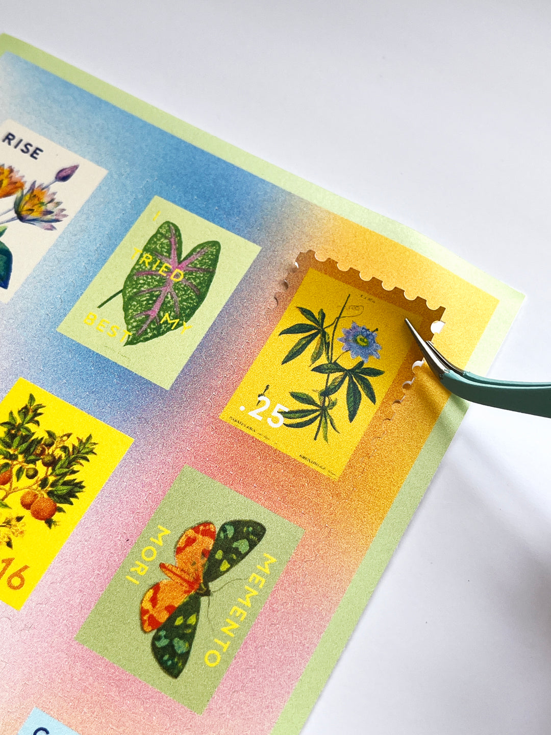 Vintage Botanical Stamp Sticker Sheet – Sunny Stoic Studio